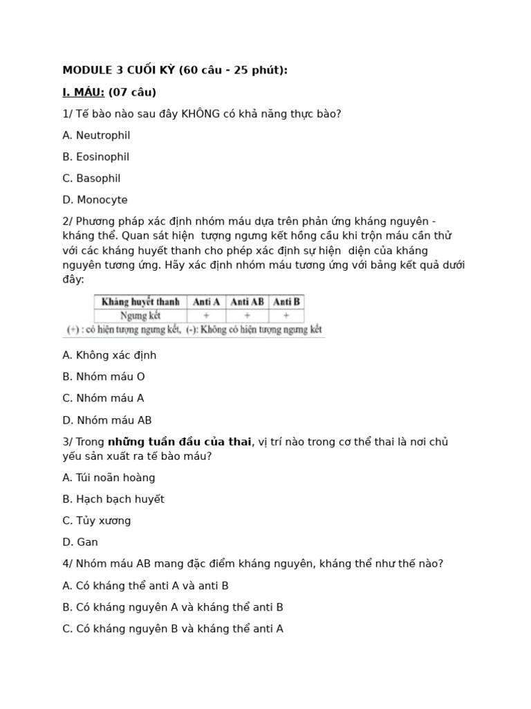 MODULE 3 CUỐI KỲ Y20 | PDF