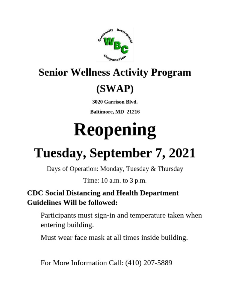 Senior Wellness Activity Program | PDF