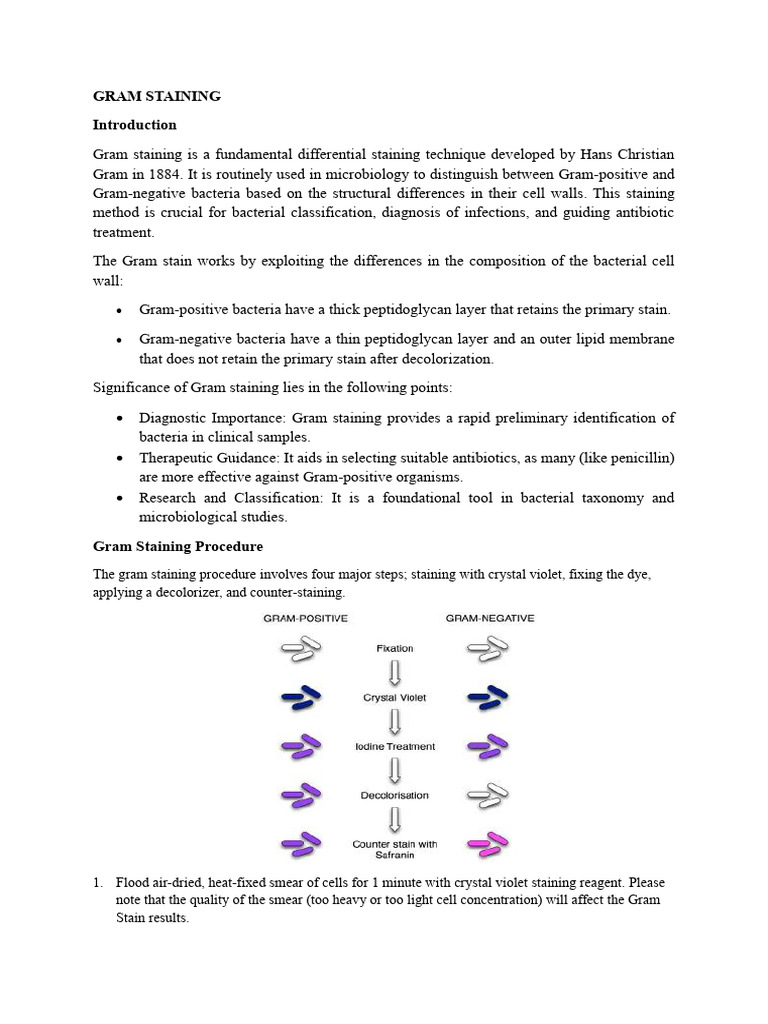 Gram Staining Procedure | PDF | Staining | Cytopathology