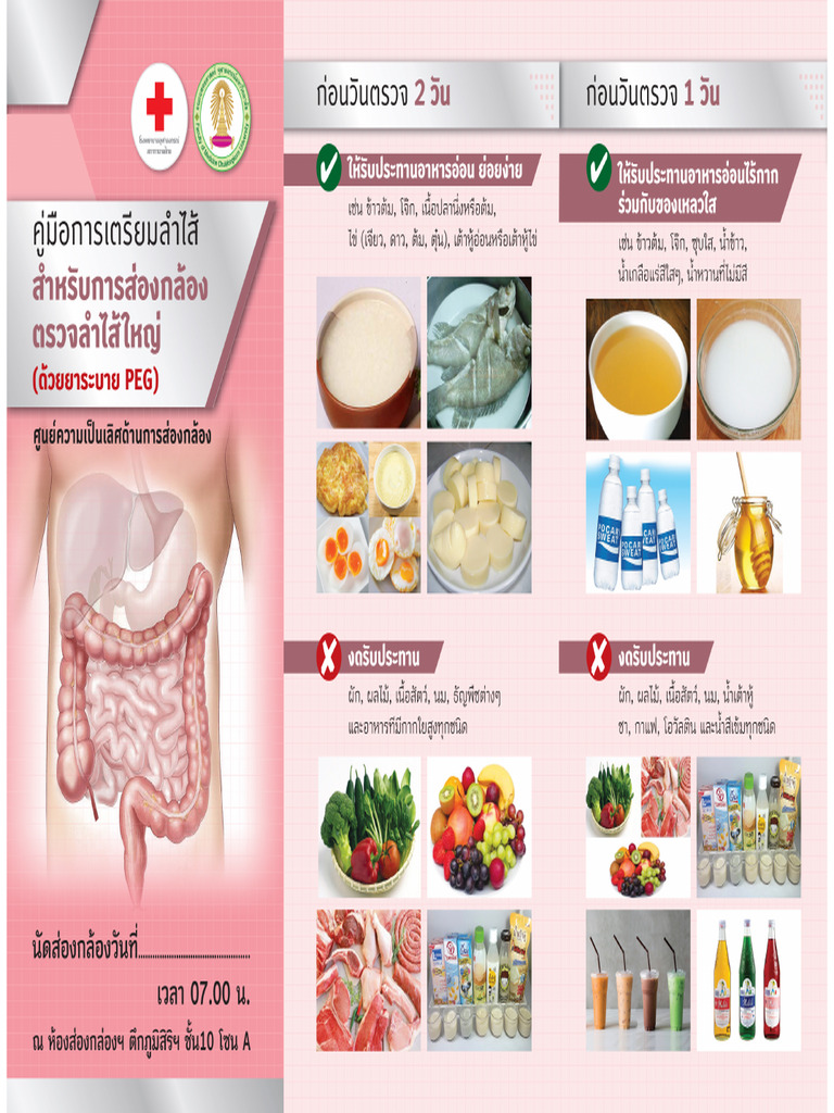 PEGเช้า | PDF