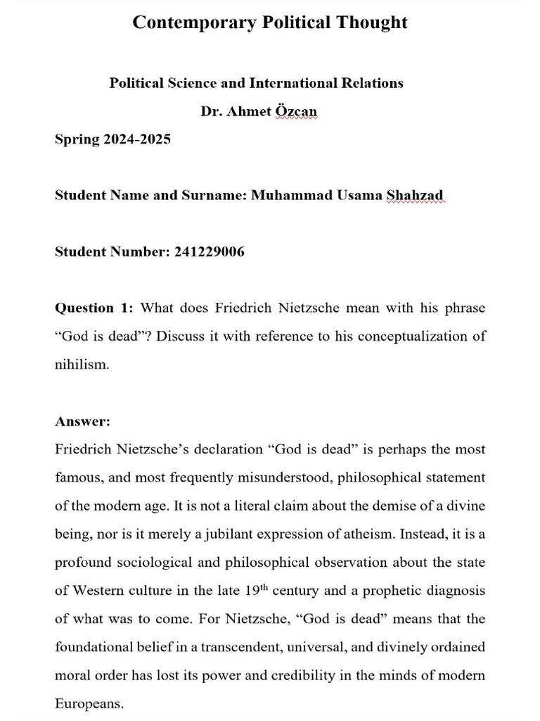 Contemporary Political Thought Final Paper 2025 | PDF