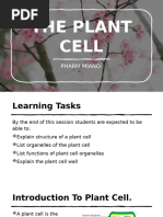 Plant Cell - Structure, Parts, Functions, Labeled Diagram | PDF | Cell ...