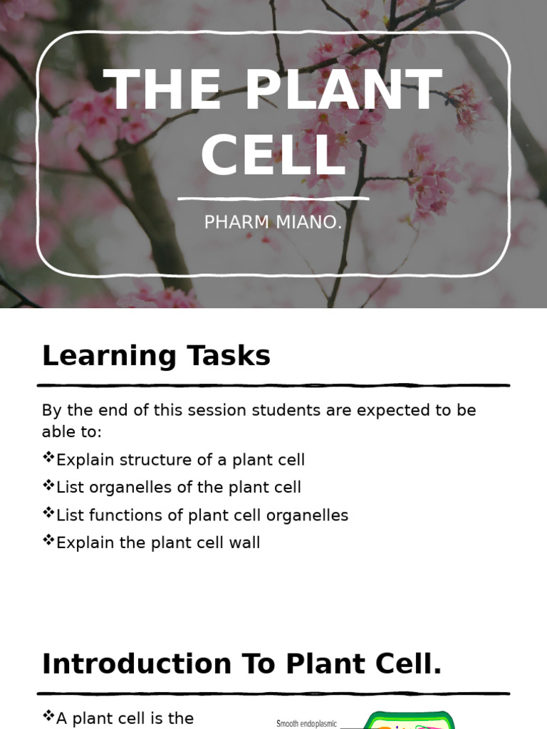 Session 02. The Plant Cell | PDF | Endoplasmic Reticulum | Cell (Biology)