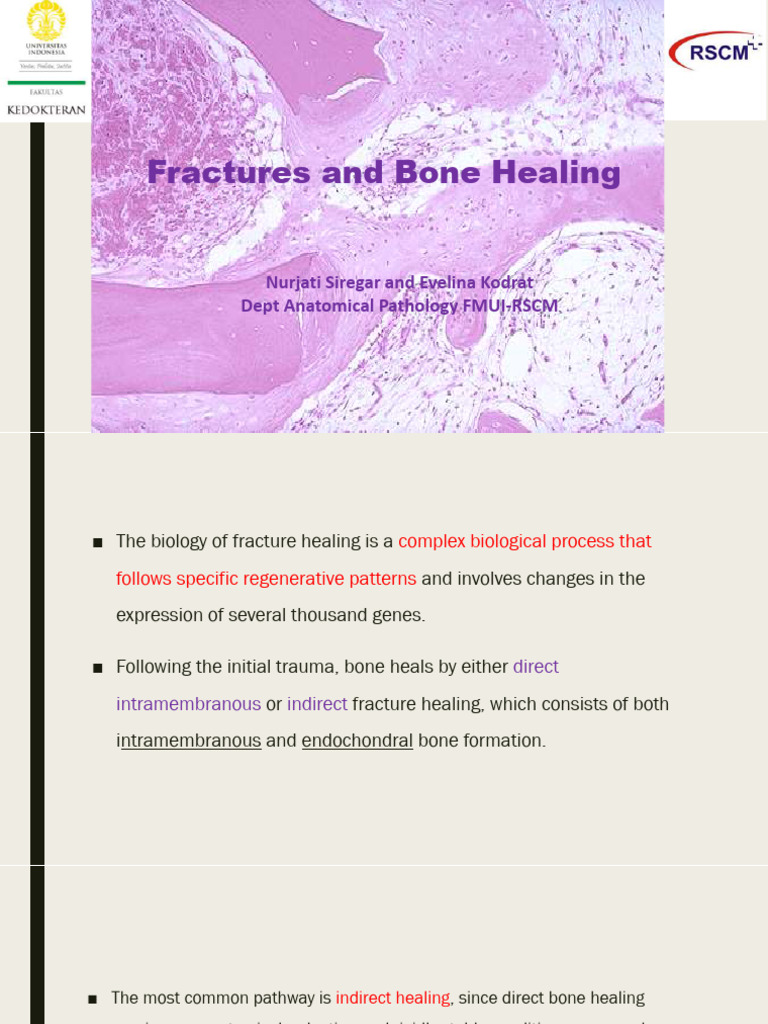 Bone Healing: Processes and Pathology | PDF | Bone | Cell Biology