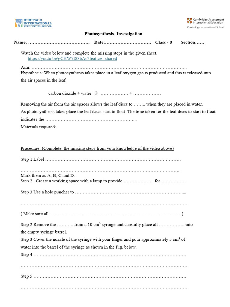 Photosynthesis - Investigation | PDF | Photosynthesis | Earth Sciences