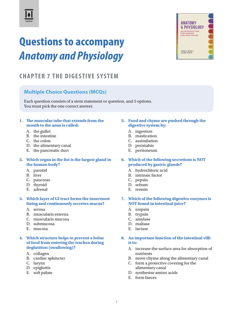 Self Assessment Questions Chapter 7 The Digestive System | PDF | Human ...