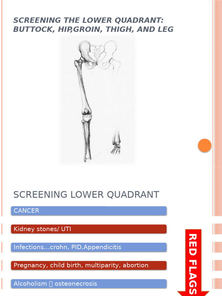 PC Screening Lower Quadrant 1 | PDF | Hip | Diseases And Disorders