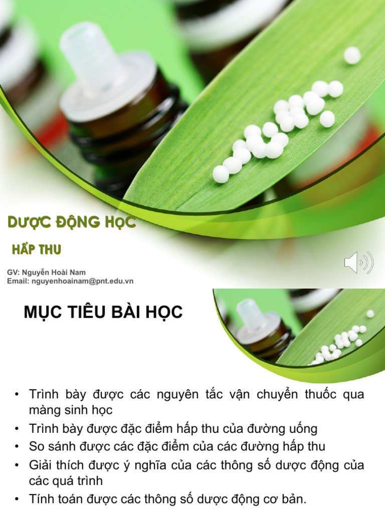 Duoc Dong Hoc - Hap Thu | PDF