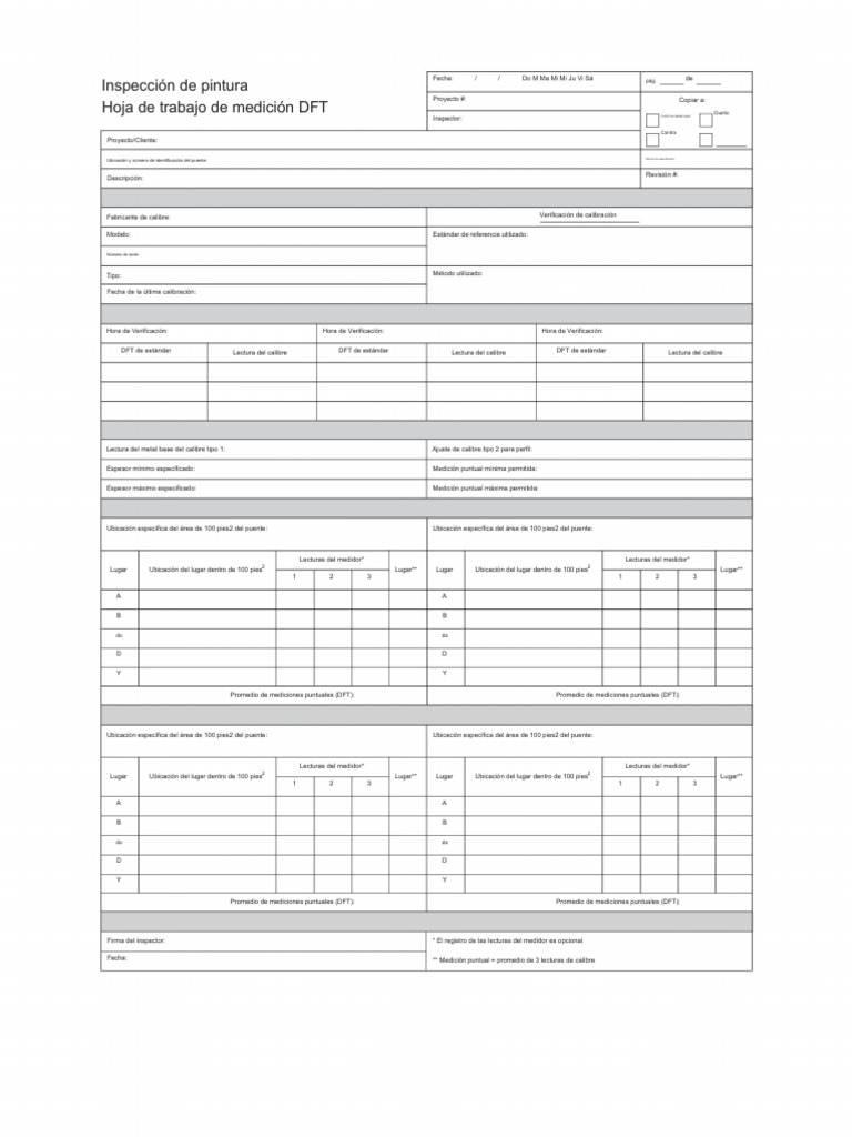 Paint Inspection DFT Measurement Worksheet | PDF