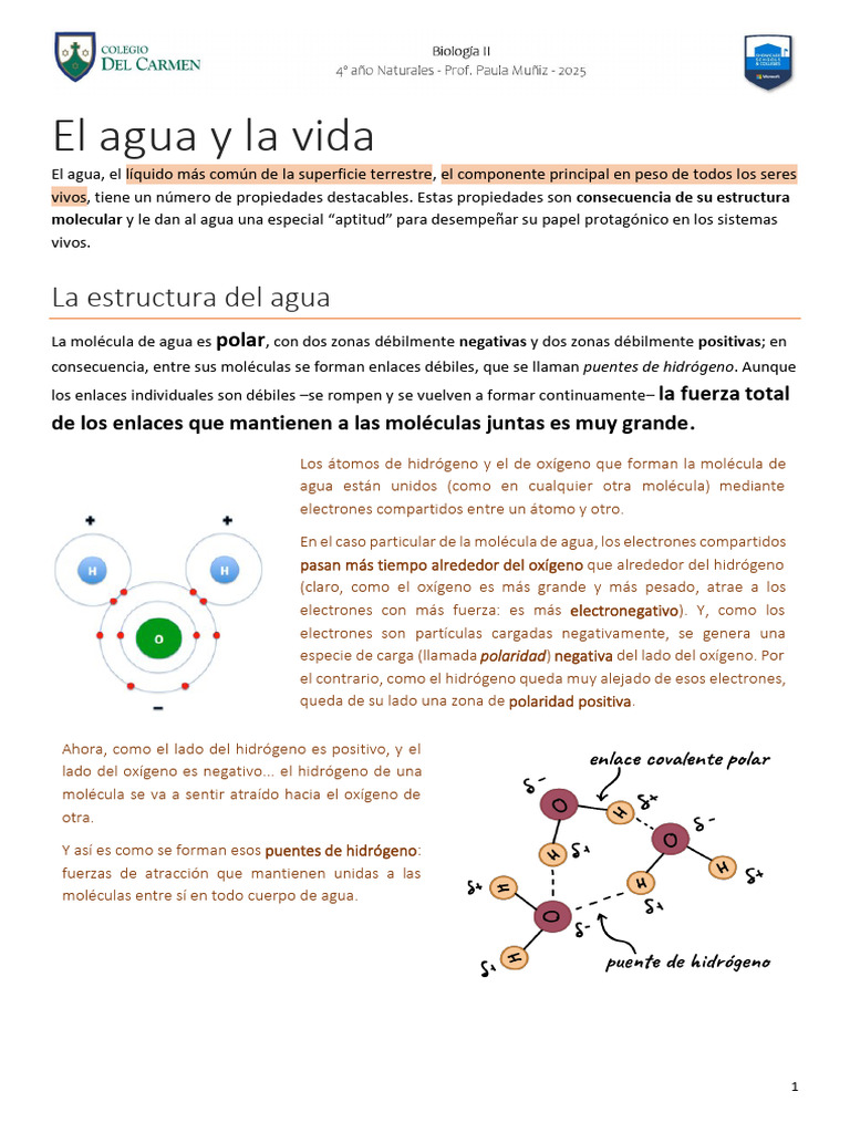 Propiedades Del Agua | PDF | Propiedades del agua | Enlace químico