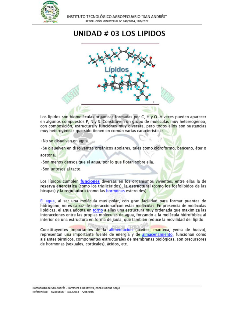 Tema 3 Lipidos 2025 | PDF | Lípido | gordo