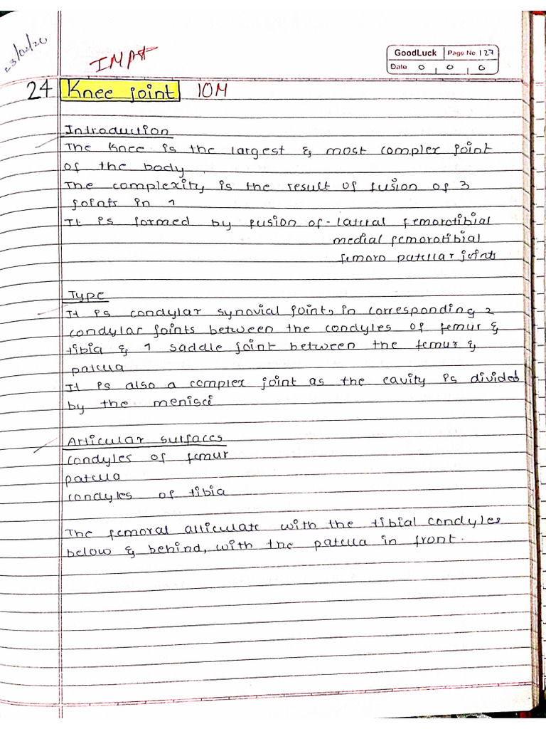 Knee Joint Anatomy Notes | PDF