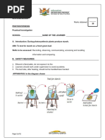 Grade 8 Term 1 Natural Science Practical Task 2025-1 | PDF ...
