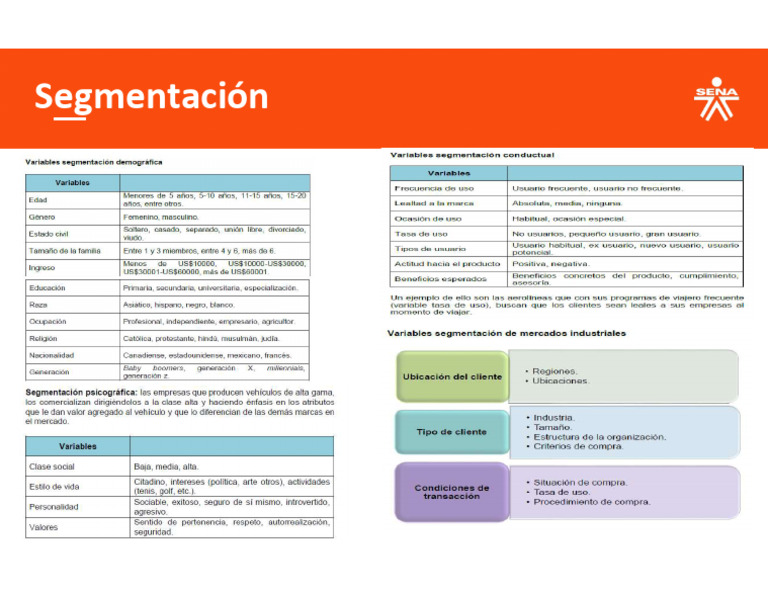Criterios de Segmentación | PDF