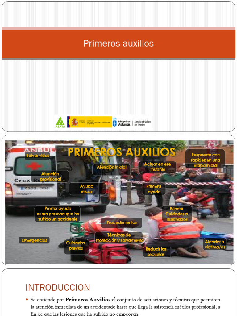 Primeros Auxilios | PDF | Reanimación cardiopulmonar | Legumbres