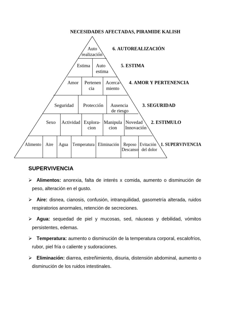 Necesidades en la Pirámide de Kalish | PDF | Enfermedades y trastornos