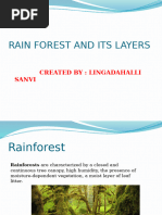 Layers of The Rainforest: Emergent | PDF