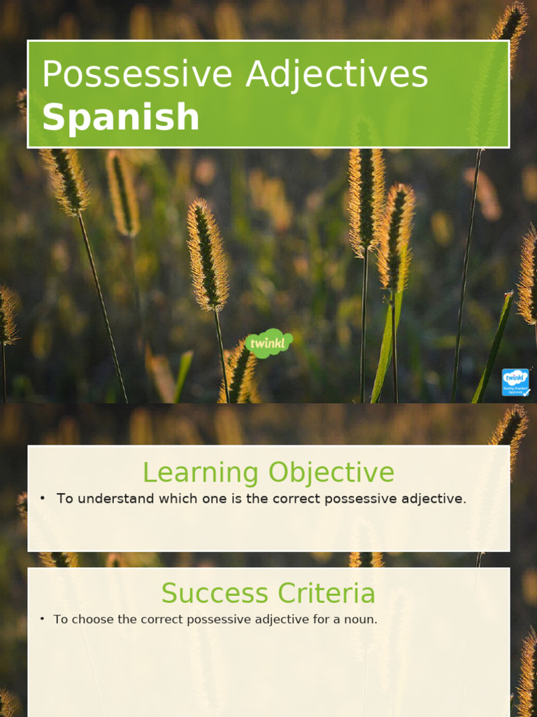t3 SP 28 Possessive Adjectives in Spanish Powerpoint | PDF | Unidades ...