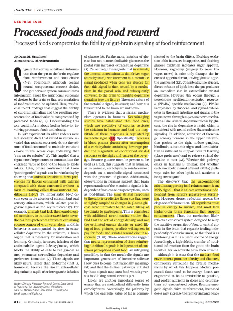Gut-Brain Signals and Processed Foods | PDF | Brain | Striatum
