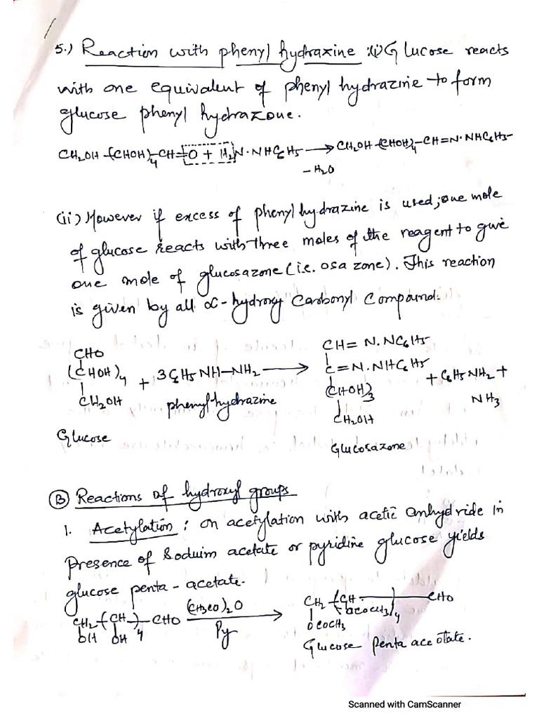 Cyclic Structure of Glucose | PDF