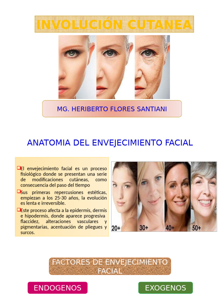 Involución Cutanea | PDF | Piel | Ultravioleta