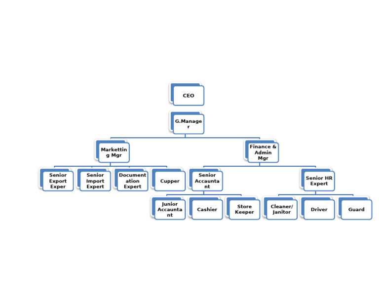 Company Job Titles and Roles List | PDF