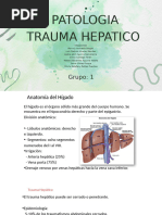 Signos y Maniobras Abdominales | PDF | Abdomen | Vesícula biliar