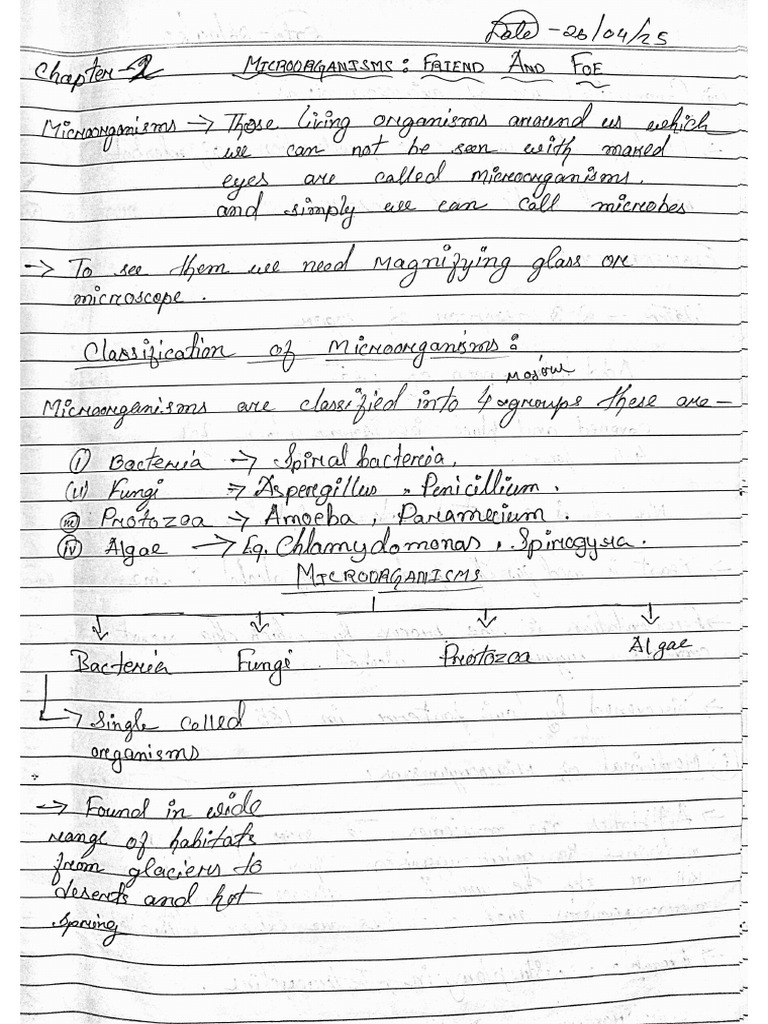 Class 8 Science Chapter 1 - Micro Organism | PDF