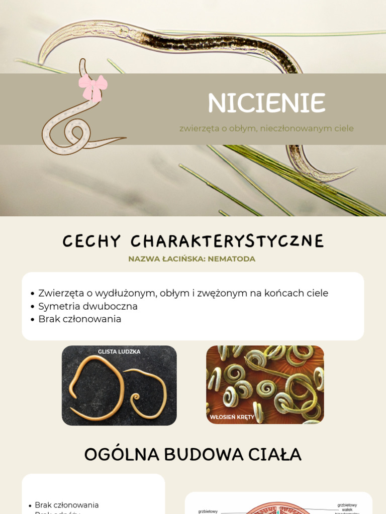 NICIENIE | PDF