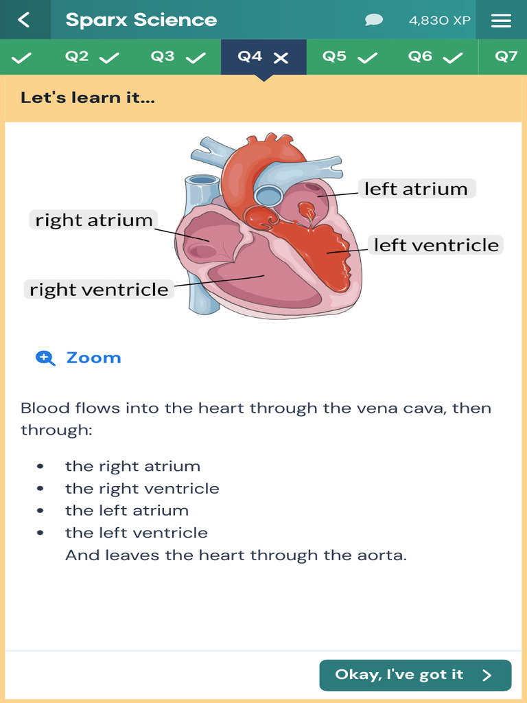 Task 6 - Homework - Sparx Science | PDF