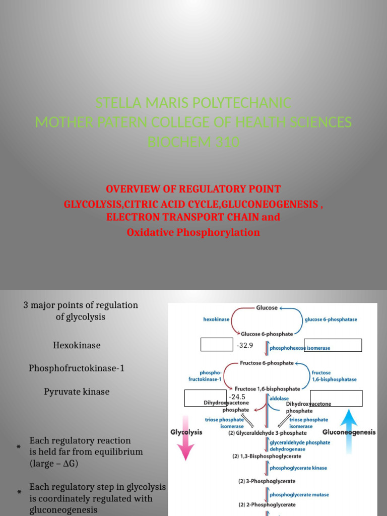 Biochem RGC P6abm 2024 | PDF | Glycolysis | Adenosine Triphosphate