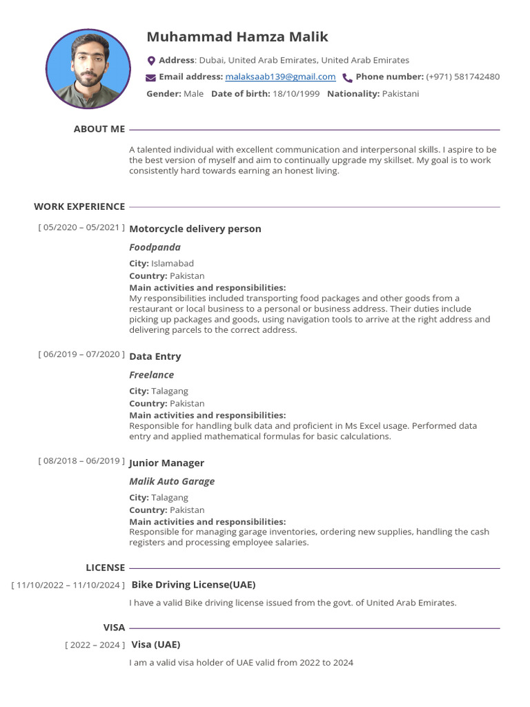 Muhammad Hamza Malik - Professional Profile | PDF | United Arab Emirates