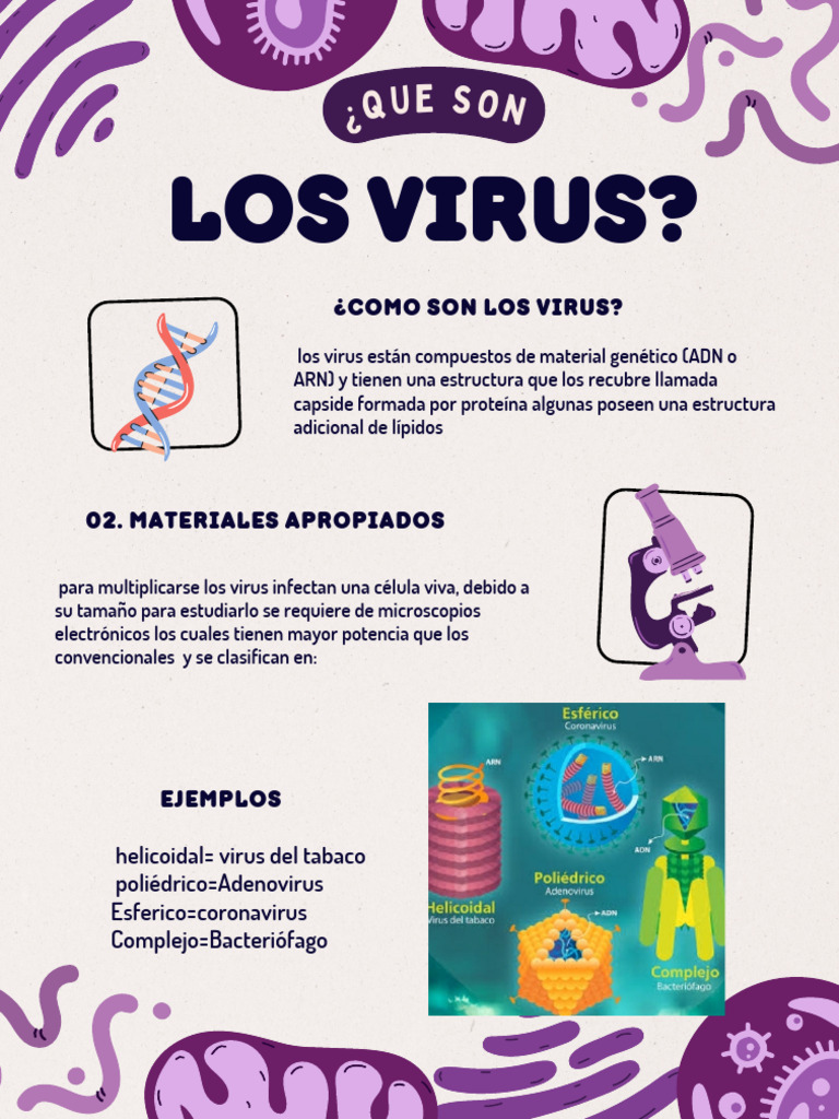 Infografía Sobre Virus | PDF