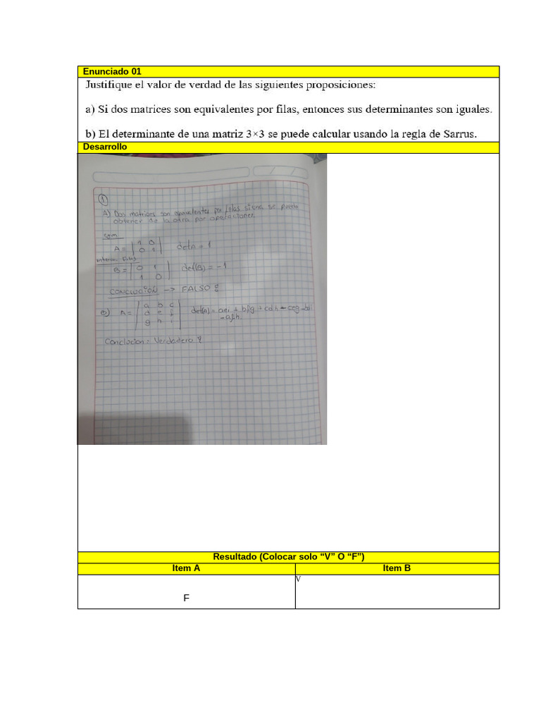 Evaluaci N de Desarrollo T1 UG | PDF