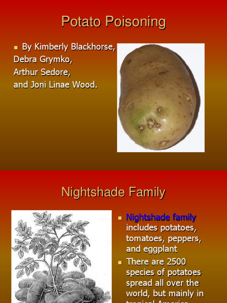 Solanine Toxin | Acetylcholine | Potato