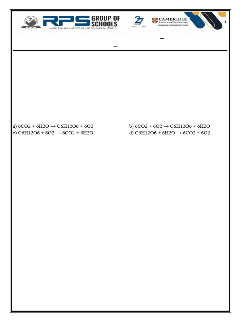 VII Bio Assignment July 2025 | PDF | Plants | Photosynthesis