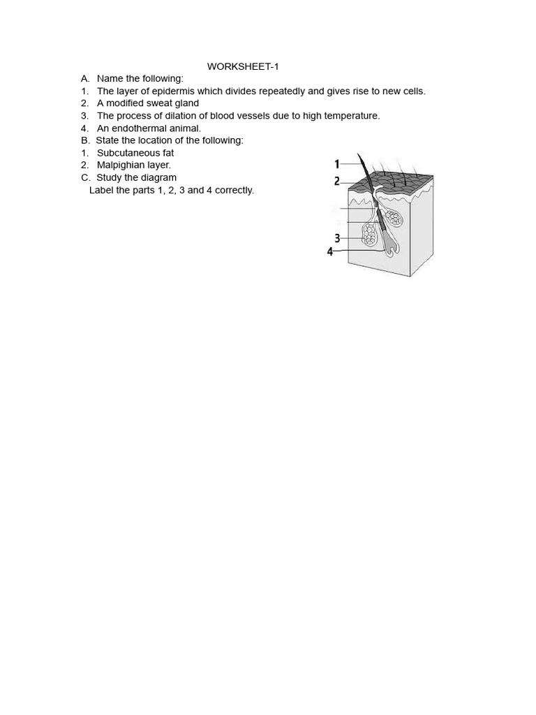 Worksheet 1 9b | PDF