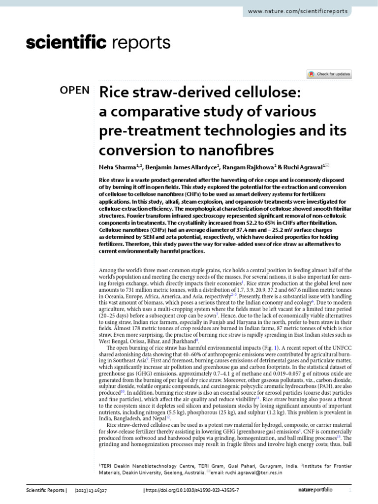 Cellulose Extraction From Rice Husk | PDF | Differential Scanning ...