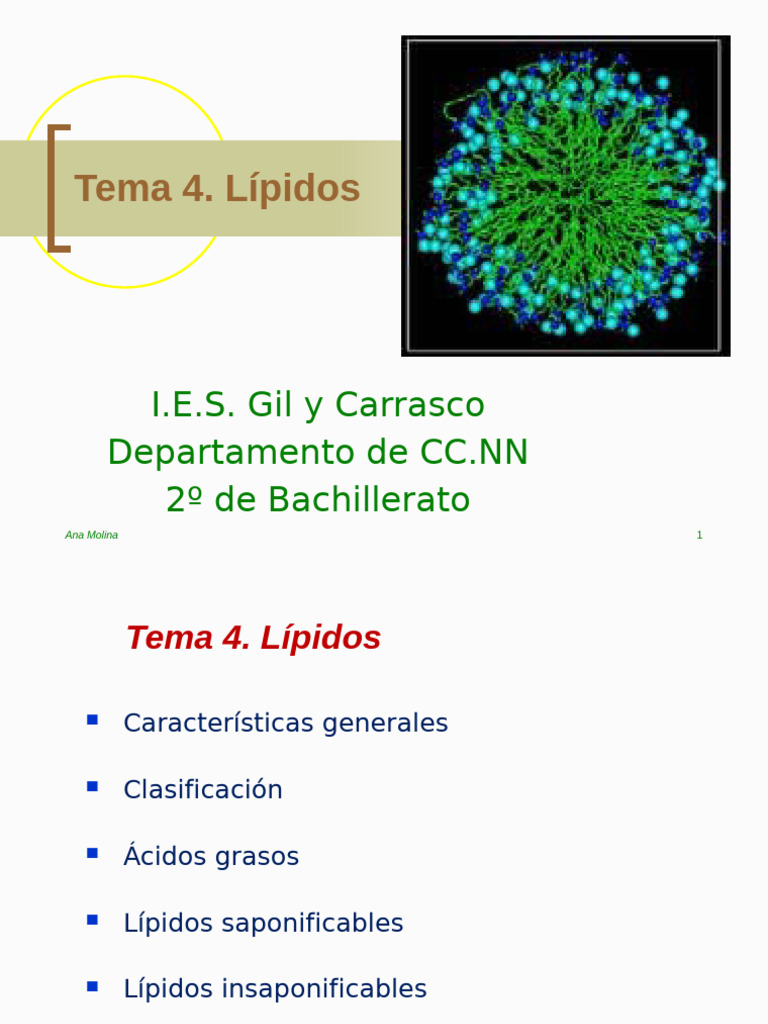 Tema 4B. Lípidos | PDF | Lípido | Ácido graso