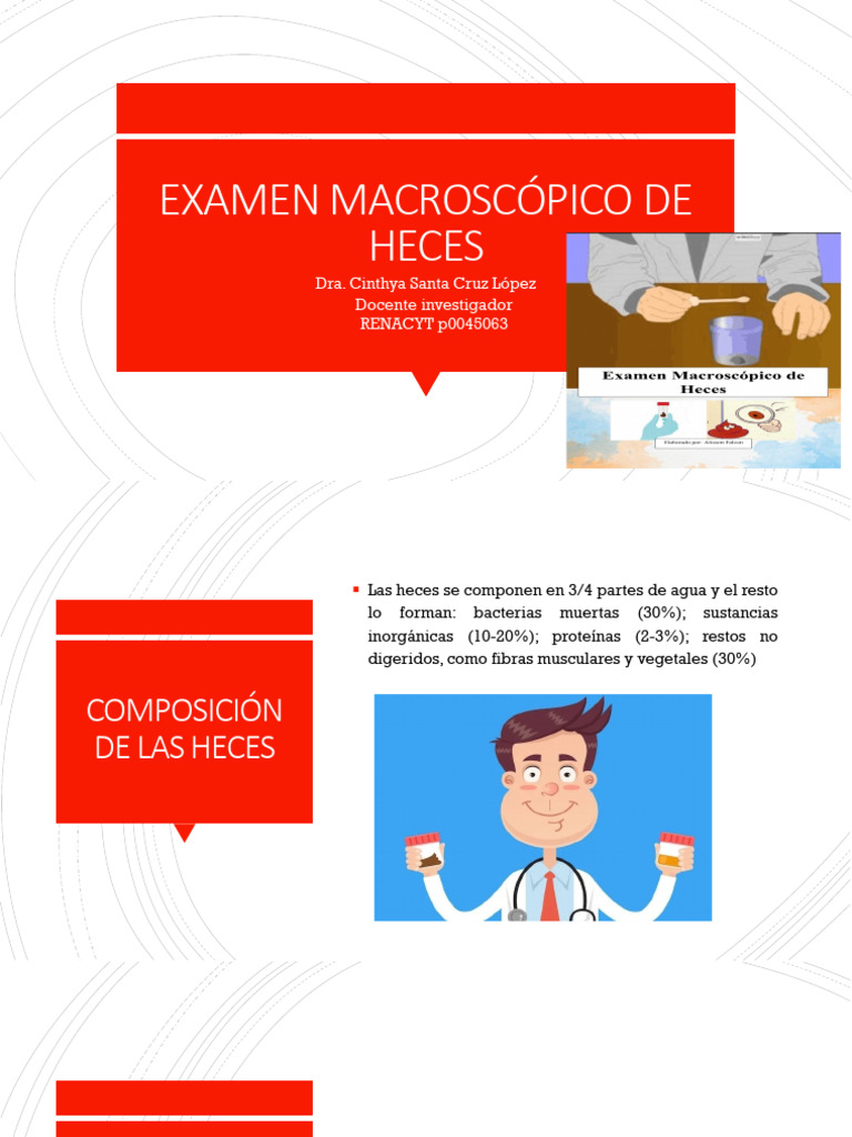 Examen Macroscópico de Heces | PDF