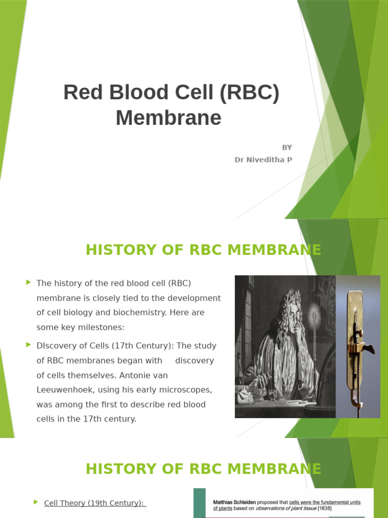 Red Blood Cell (RBC) Membrane Deformability | PDF | Cell Membrane | Red ...