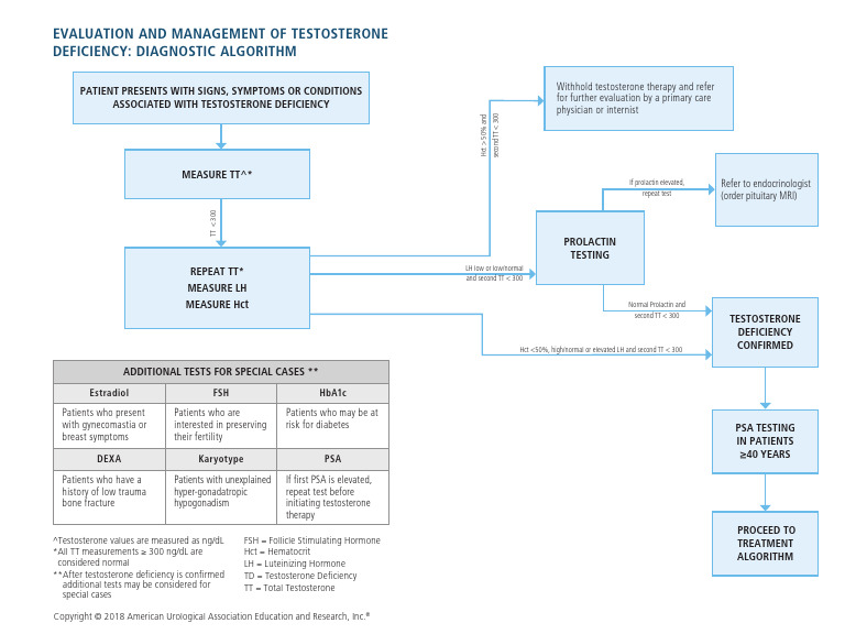Testosterone Algorithm One - Diagnostic | PDF | Human Diseases And ...