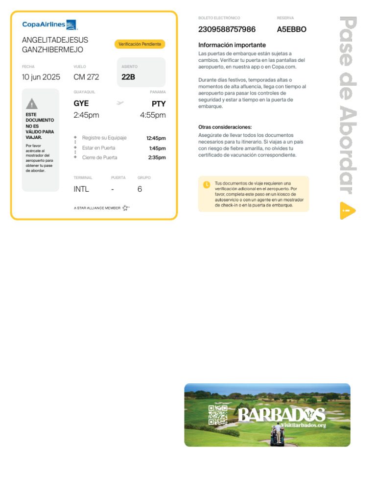 Información sobre el pase de abordar | PDF