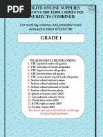 Grade One Environmental Activities Worksheet | PDF