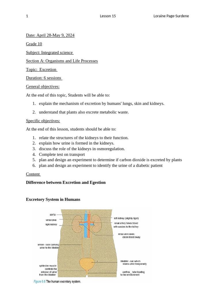 Lesson 15 | PDF | Kidney