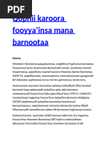 Karoora Dhuunfaa D.H | PDF