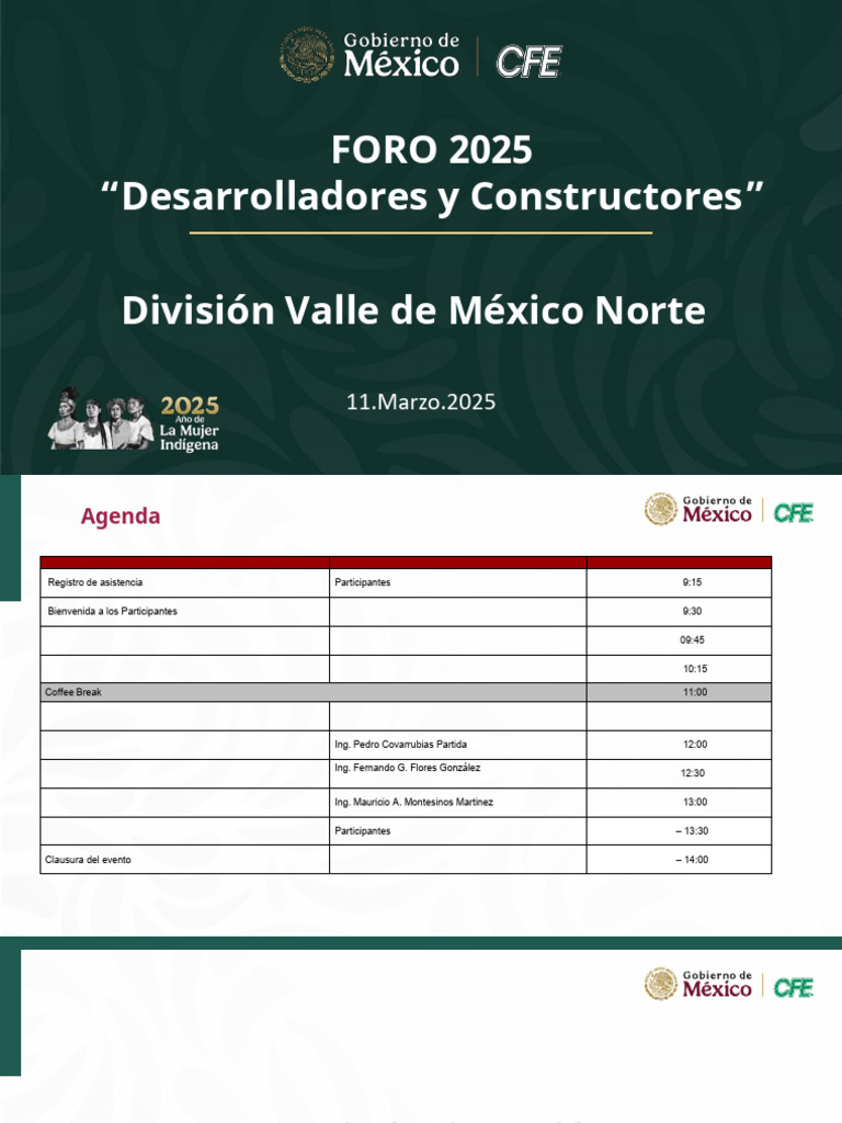Foro de Desarrolladores CFE 2025 | PDF | Presupuesto | Electricidad
