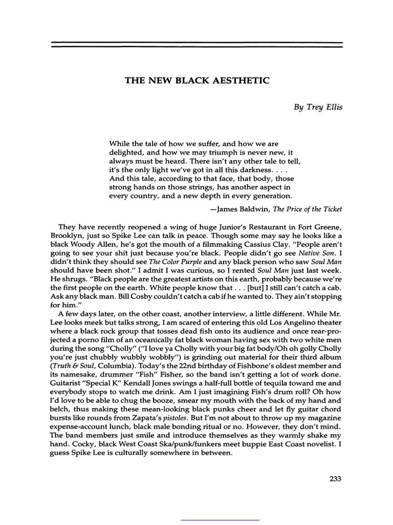 Exploring the New Black Aesthetic | PDF