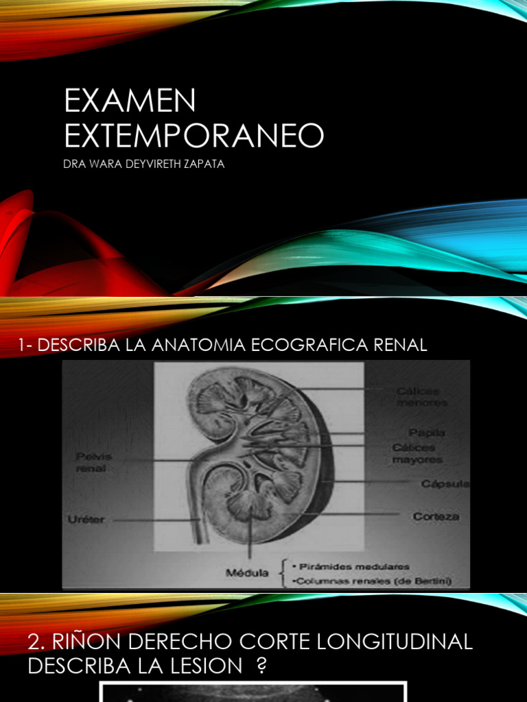 Examen Extemporaneo | PDF