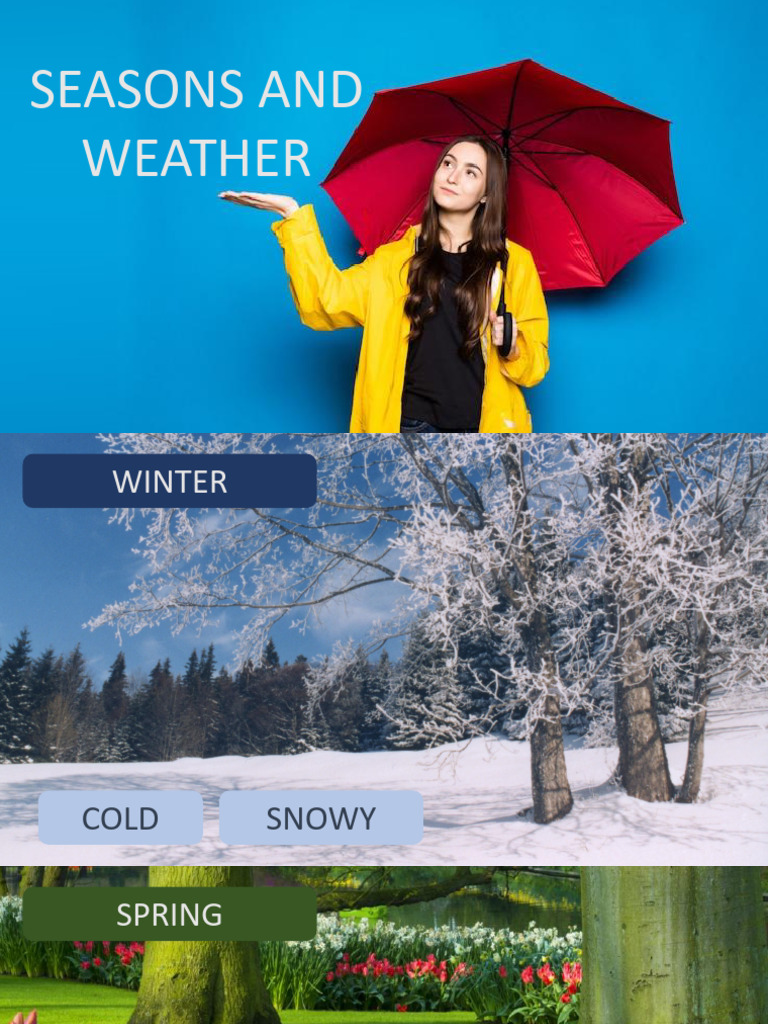 Weather Season Vocabulary - Will | PDF